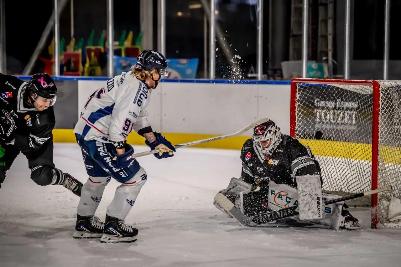 Hockey sur glace. Pas de surprise pour les Albatros de Brest face aux ...