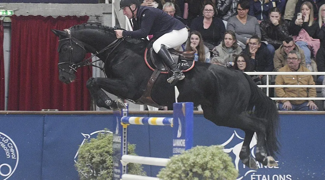 Équitation. Un beau cadeau d’anniversaire, Roger-Yves Bost signe une 2e ...