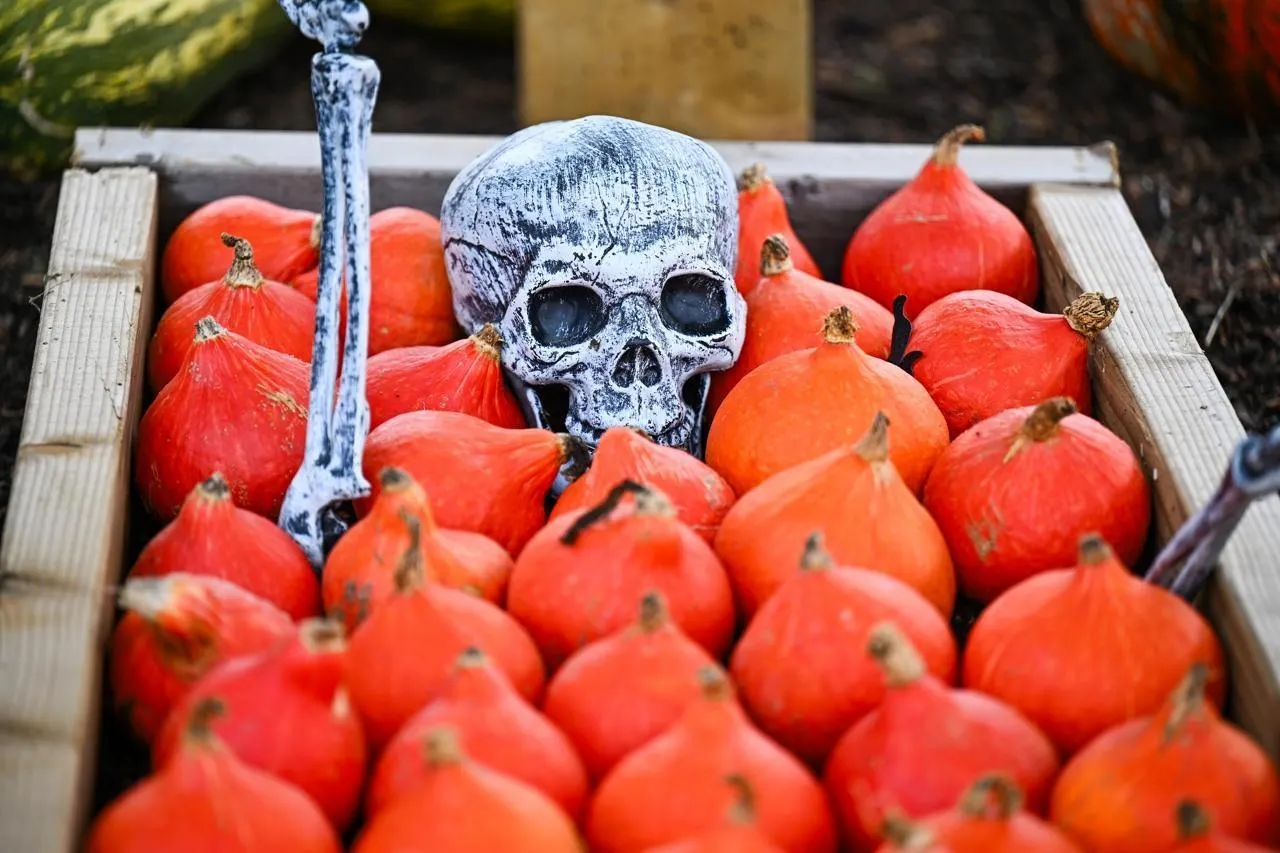 Stupéfiantes, effrayantes… Partagez les photos de vos décorations d ...