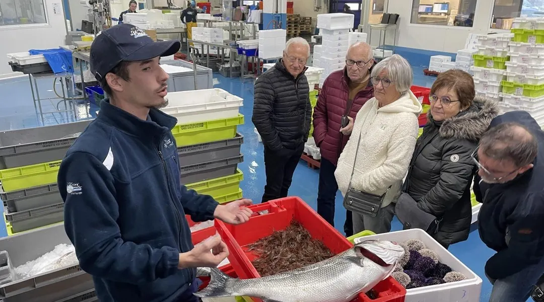 Que faire en novembre dans le Pays de Saint-Gilles ? Voici nos idées de sorties - Saint Gilles ...