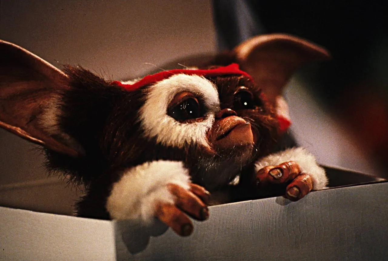 Warner Bros annonce la sortie au cinéma de « Gremlins 3 » en 2027, avec ...