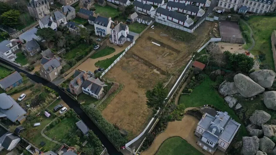 En Bretagne, cette espèce d’orchidée sauvage va-t-elle être déplacée ...