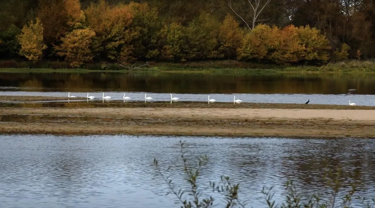 Un documentaire poétique sur la Loire, de la source à l’estuaire à voir ...